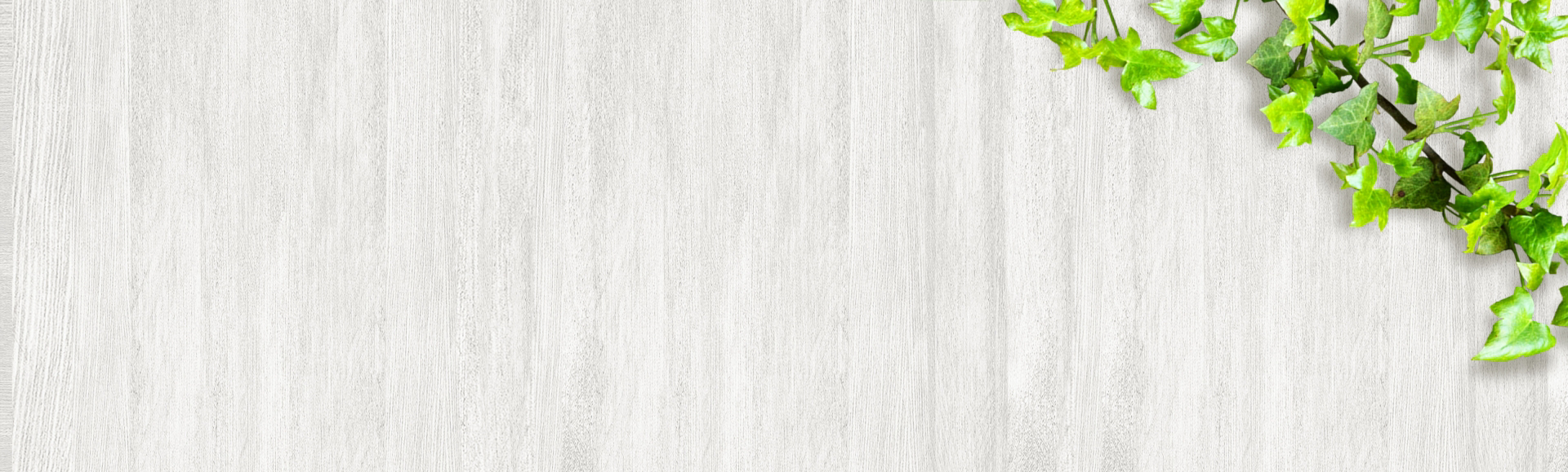 TRADING DIVISION – sunY Inc. official site